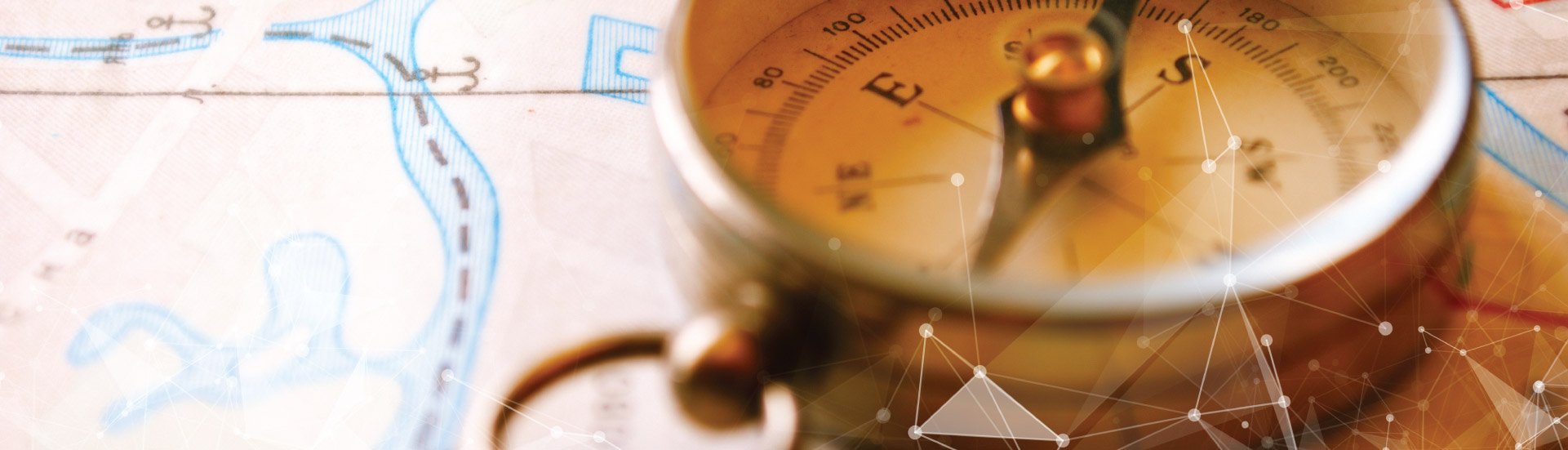 PPM Consulting—Let Rego be Your Guide