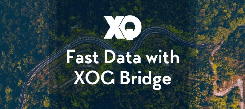 Fast Data with XOG Bridge for Clarity PPM - Rego Consulting