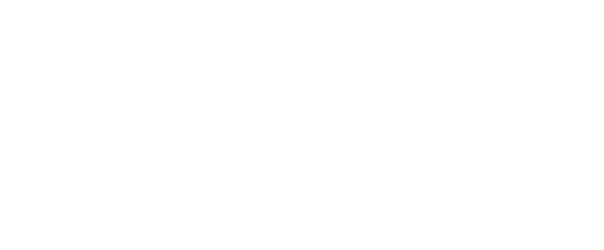 Rego Consulting | Clarity, Apptio, and Agile Services