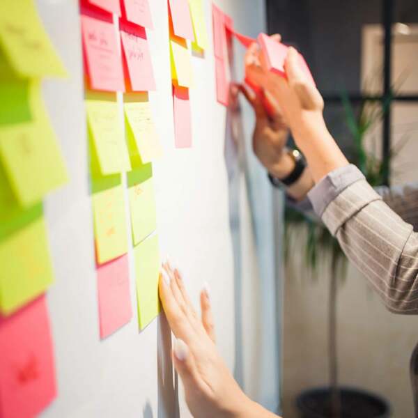 Strategic Portfolio Management | Expert Consulting by Rego