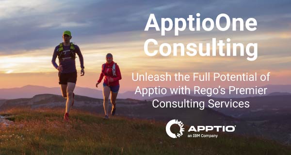 ApptioOne Consulting | Expert TBM Services by Rego Consulting
