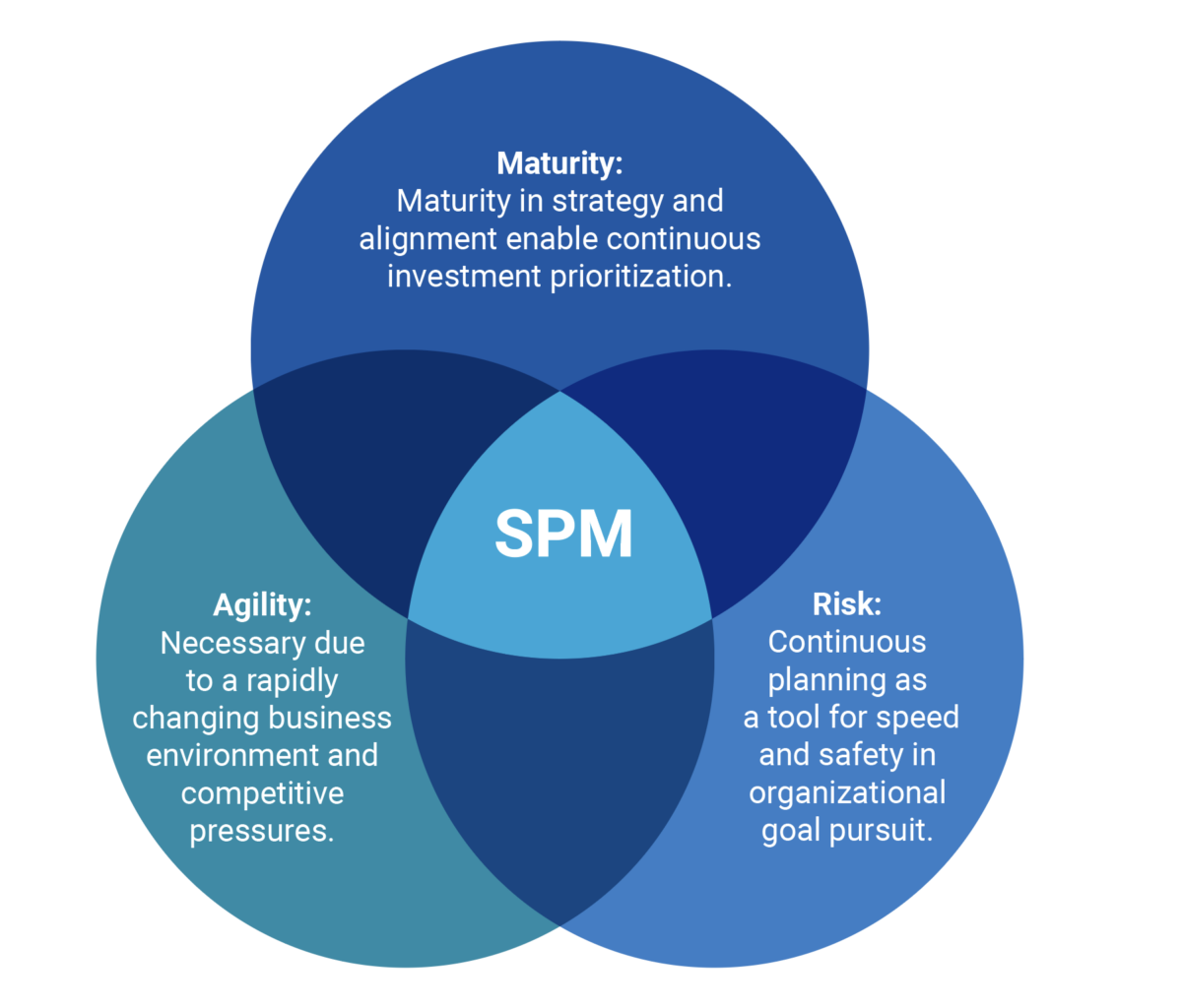 What is Strategic Portfolio Management (SPM)
